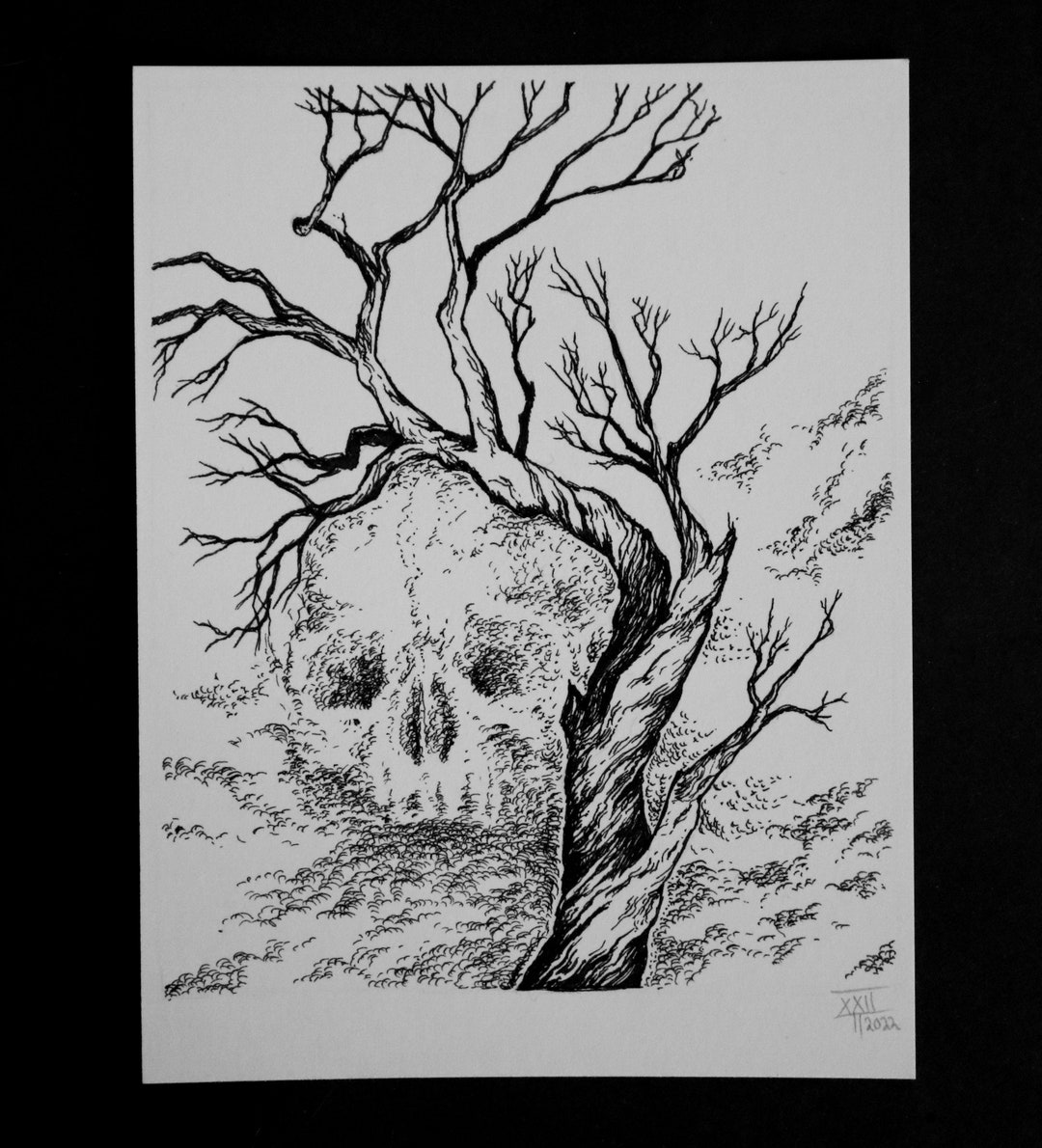 Original Ink Drawing "resting Shadow" - Etsy