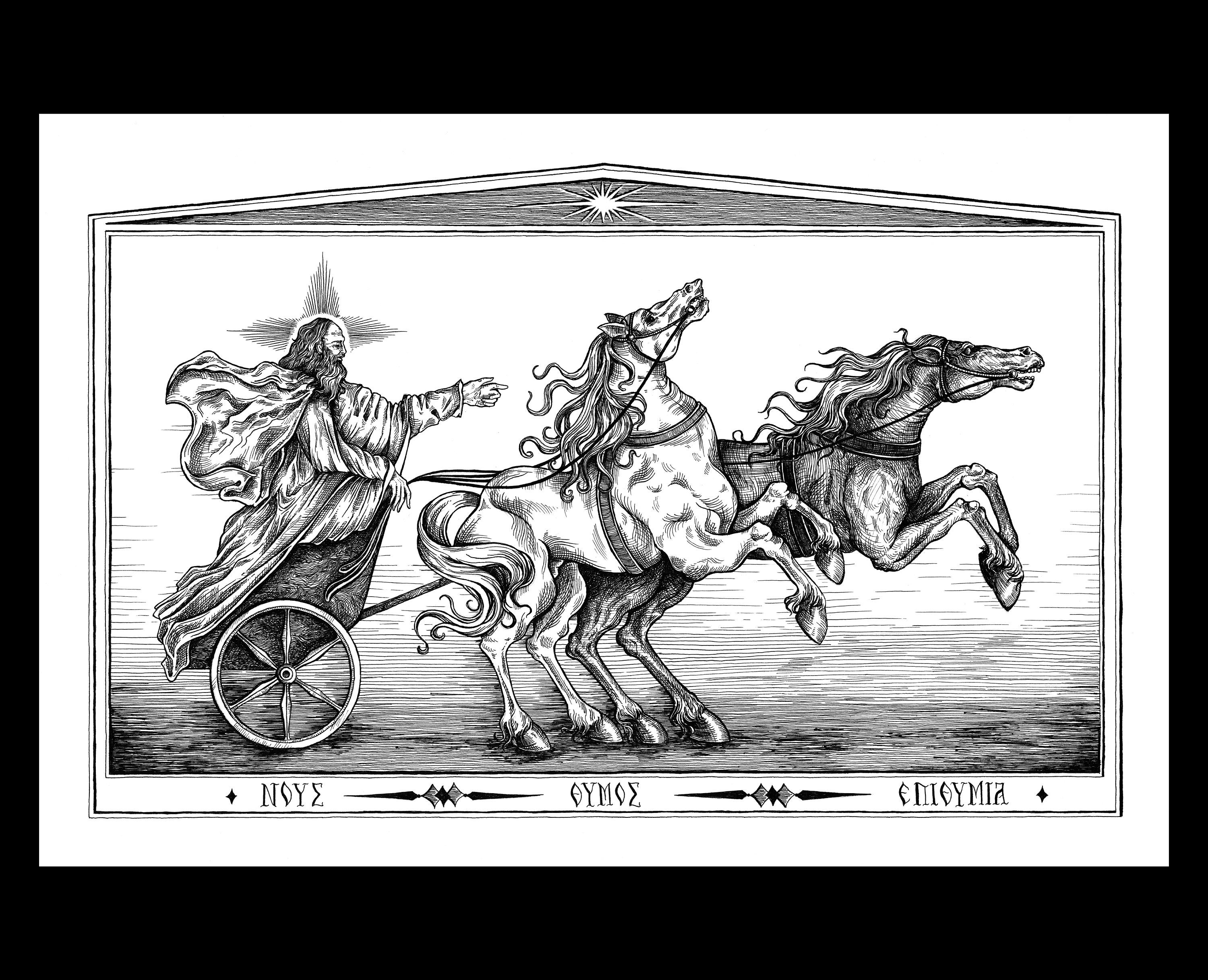 The Chariot - Art Print - Illustration in Black and White - Etsy