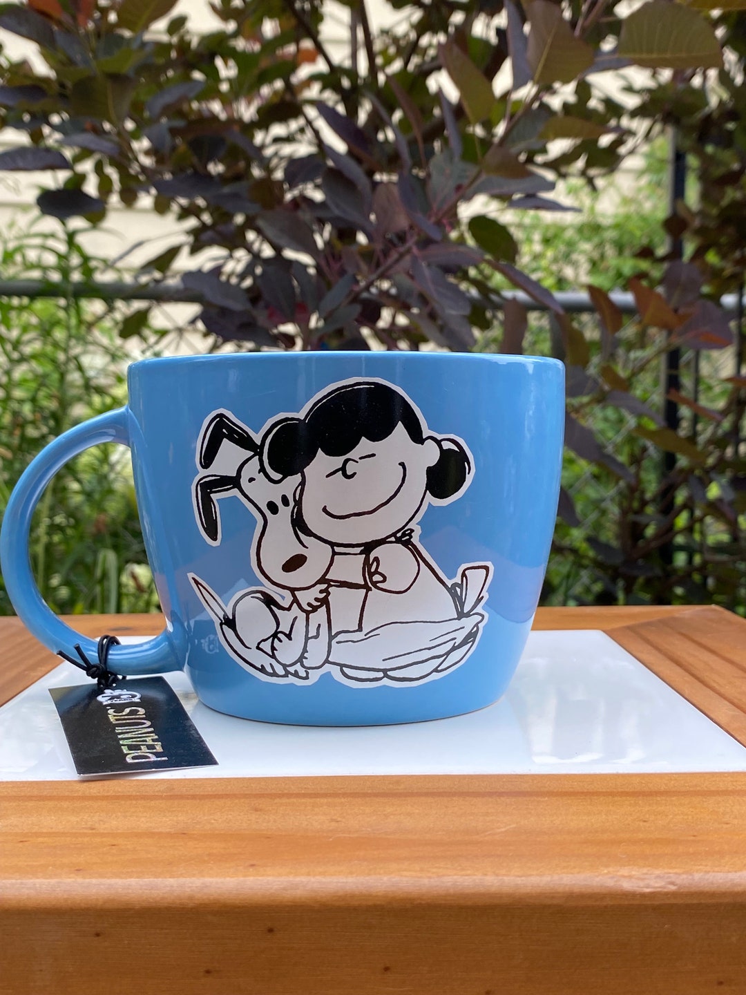 Peanuts SNOOPY "snoopy Blue Joy Hug" 22oz Home Ceramic Mug Collection ...