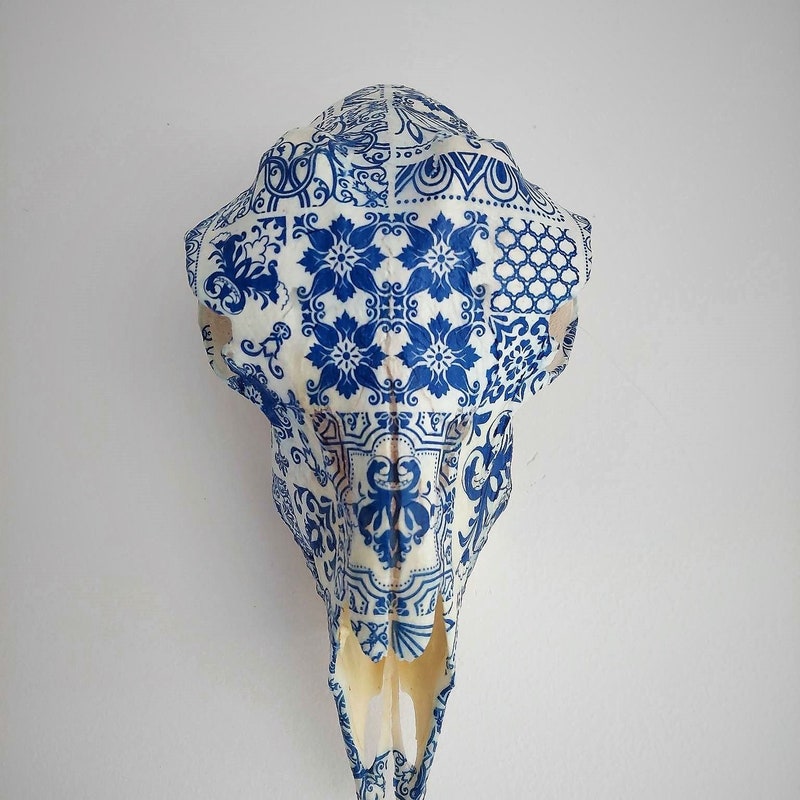 Painted Animal Skull - Etsy