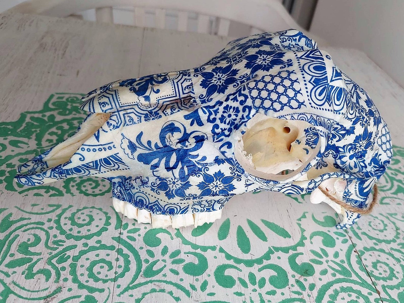 Genuine Sheep Skull, Hand-painted Sheep Skull, Painted Animal Skull ...