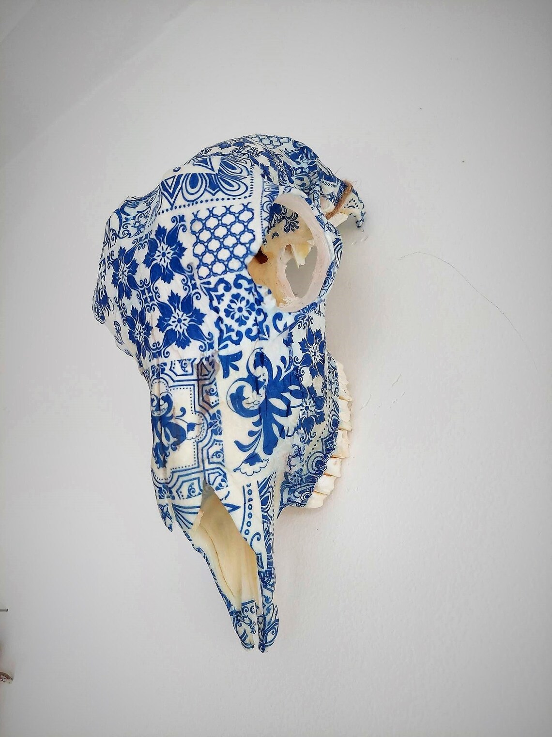 Genuine Sheep Skull, Hand-painted Sheep Skull, Painted Animal Skull ...