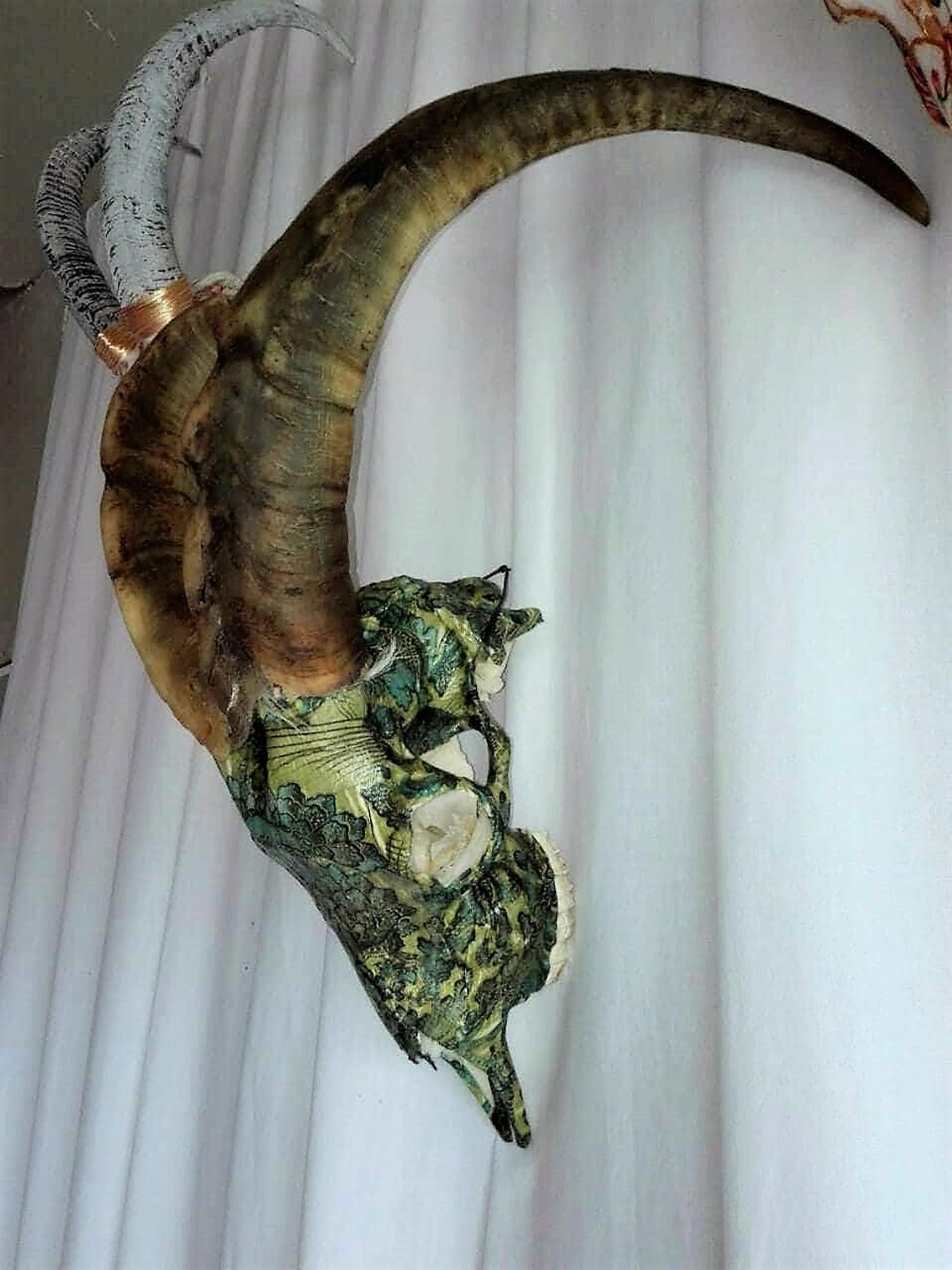 Original Goat Skull Hand Painted and Decorated Goat Skull - Etsy