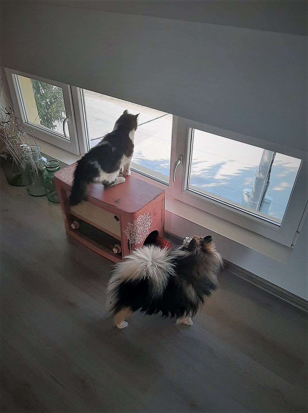 Pet Cat House, Pet House, Vintage Cat House, Pink Pet House, Home Decor ...