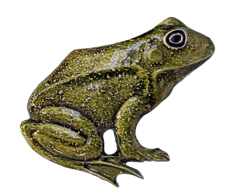 Frog Belt Buckle with Presentation Box | Etsy