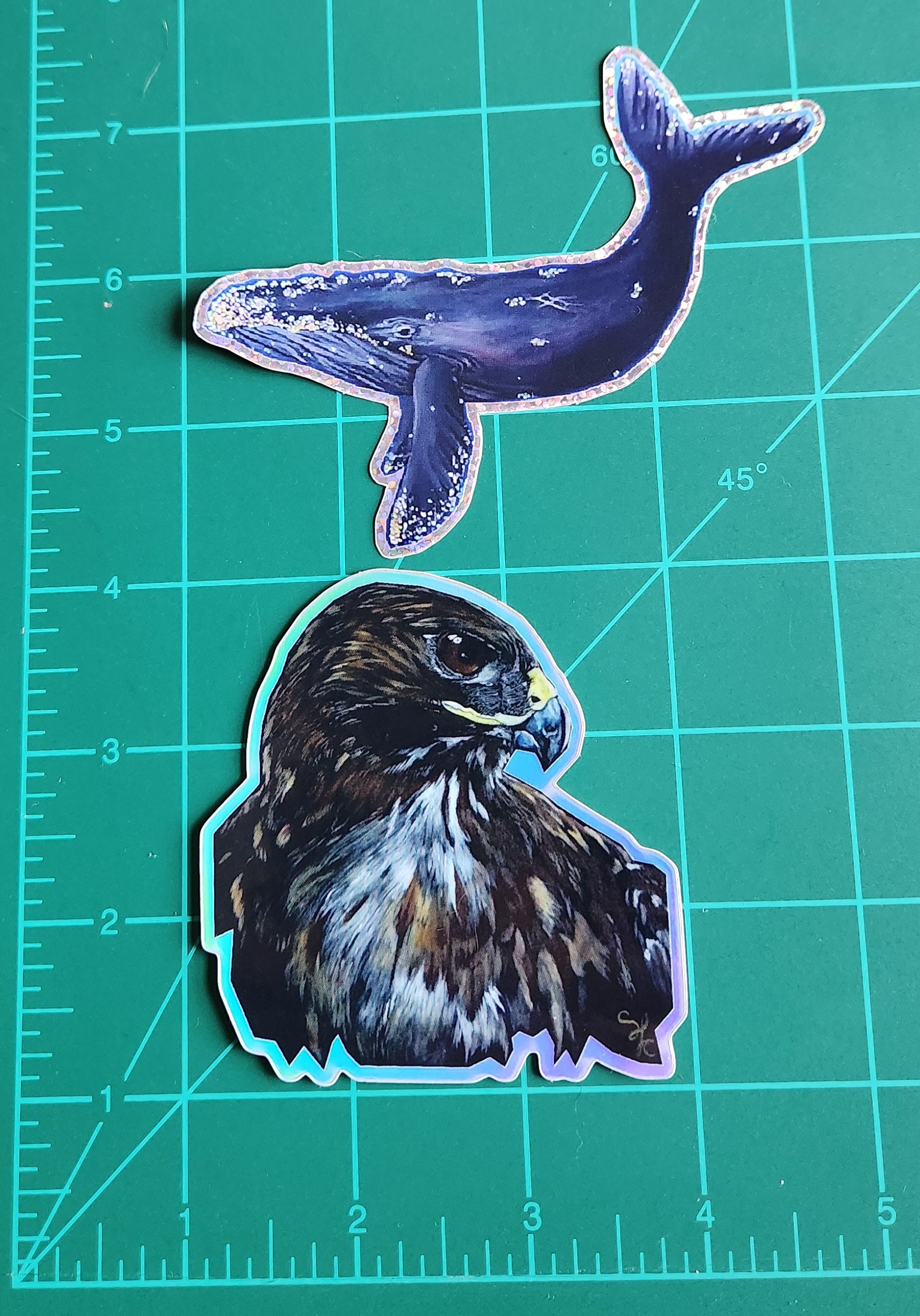 Whale Hawk Stickers Wildlife Sticker - Etsy
