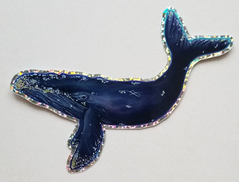 Whale Hawk Stickers Wildlife Sticker - Etsy