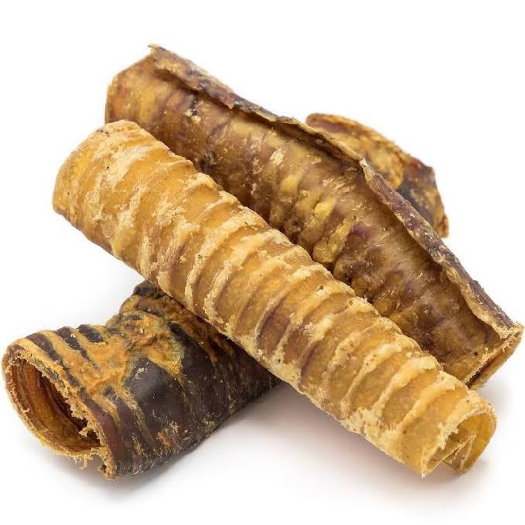 6 Inch Beef Tracheas Bulk Buy of 10 - Etsy