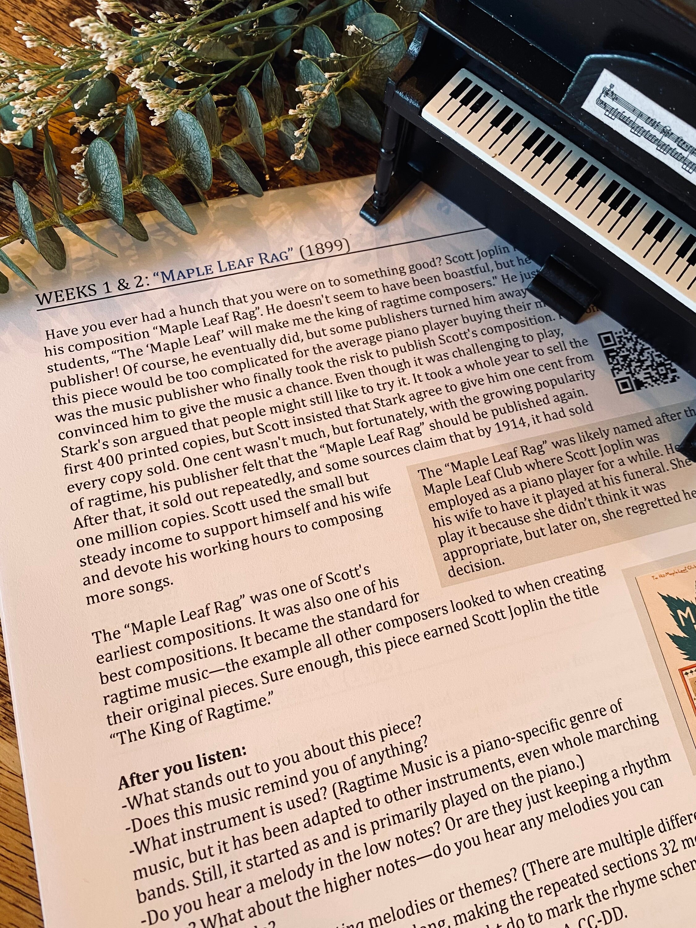 Joplin Composer Study Guide 1900s - Etsy