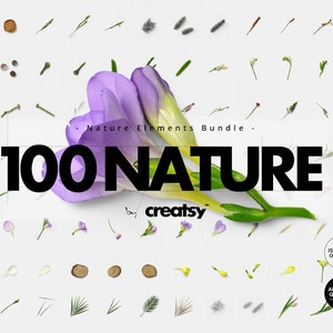 100 Elements Nature Bundle (isolated Objects), Digital Flowers - Etsy