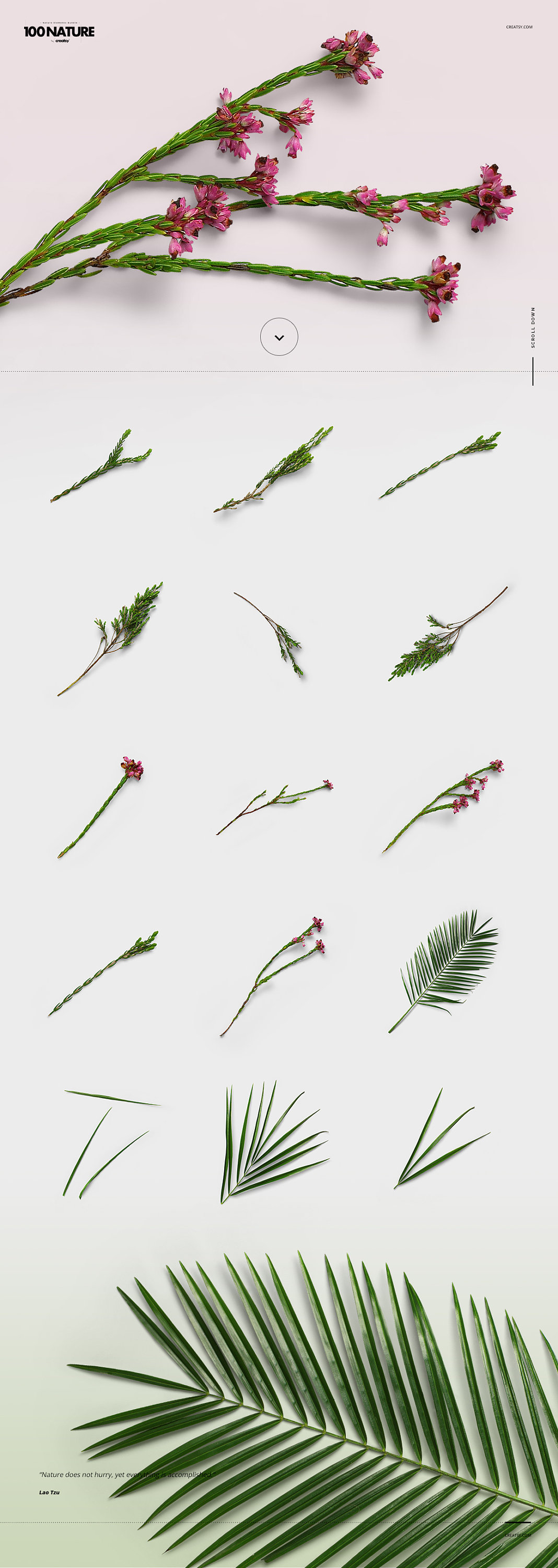 100 Elements Nature Bundle (isolated Objects), Digital Flowers - Etsy