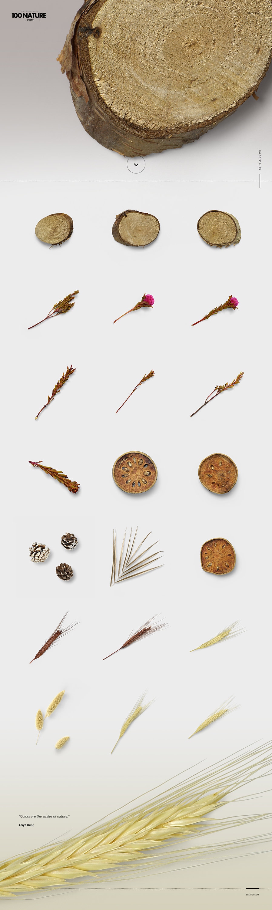 100 Elements Nature Bundle (isolated Objects), Digital Flowers - Etsy