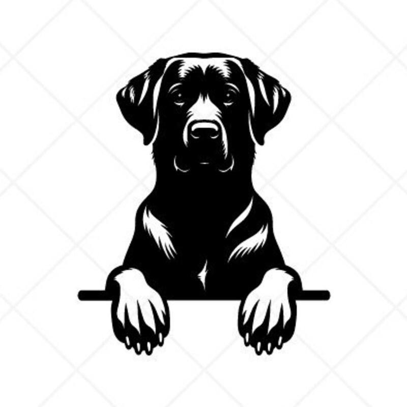 Peeking Lab Svg - Etsy