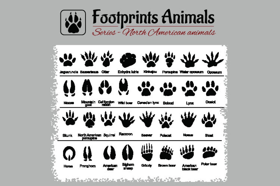 ANIMAL TRACKS-FOOTPRINTS Clipart-vector Clip Art Graphics-digital Image ...