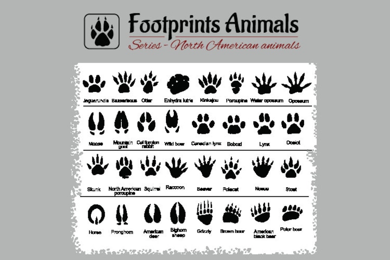 ANIMAL TRACKS-FOOTPRINTS Clipart-vector Clip Art Graphics-digital Image ...