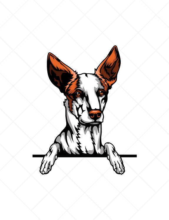 Podenco Canario Peeking Dog Clipart svg eps png jpg-Vector - Etsy México