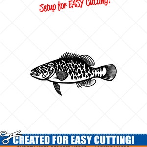 MURRAY COD Fish-fishing Clipart-vector Clip Art Graphics-digital ...