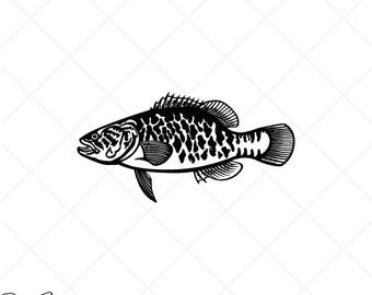 Murray Cod Sign - Etsy