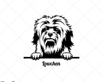 Lowchen Clipart - Etsy