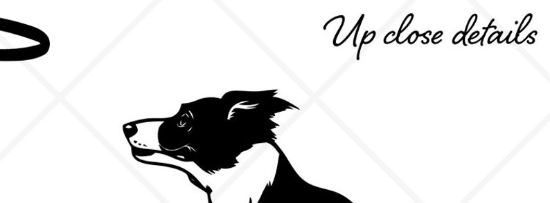 BORDER COLLIE Jumping Frisbee Dog Clipart-vector Clip Art | Etsy