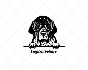 English Pointer Vector - Etsy