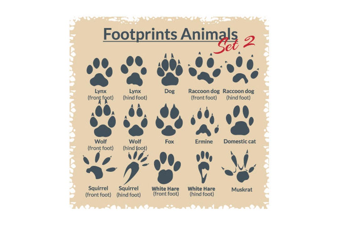 ANIMAL TRACKS-FOOTPRINTS Clipart-vector Clip Art Graphics-digital Image ...