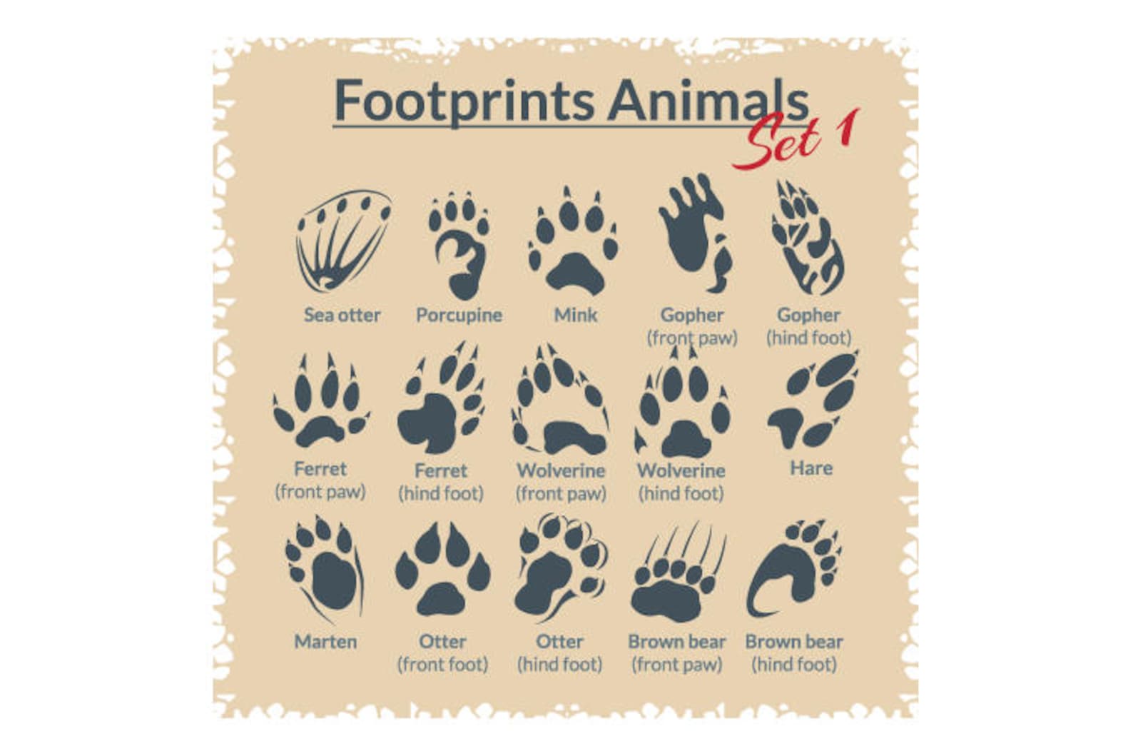 ANIMAL TRACKS-FOOTPRINTS Clipart-vector Clip Art Graphics-digital Image ...