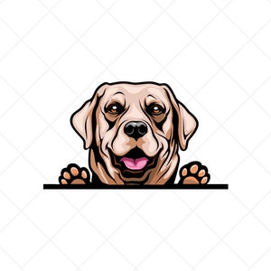 Labrador Retriever Peeking Dog Clipart Svg Eps Png Jpg-vector Clip Art ...