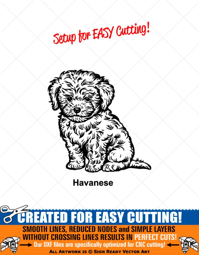 HAVANESE Puppy DOG Clipart-Vector Clip Art Graphics-Digital | Etsy