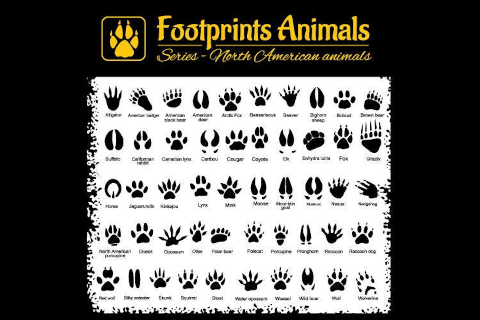 ANIMAL TRACKS-FOOTPRINTS Clipart-vector Clip Art Graphics-digital Image ...