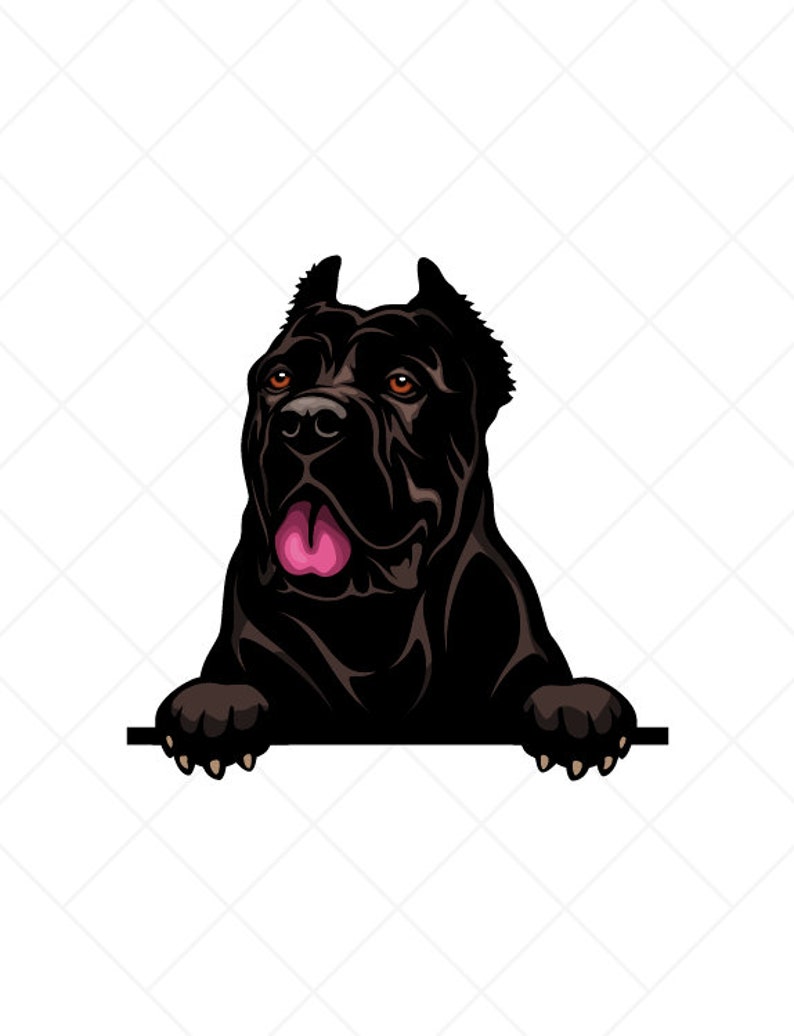 Cane Corso Peeking Dog Clipart Svg Eps Png Jpg-vector Clip Art-color ...