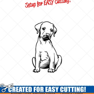 RHODESIAN RIDGEBACK Puppy Dog Clipart-vector Clip Art Graphics Download ...