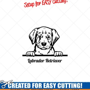 Peeking Labrador Retriever Puppy Dog Clipart-vector Clip Art Graphics ...