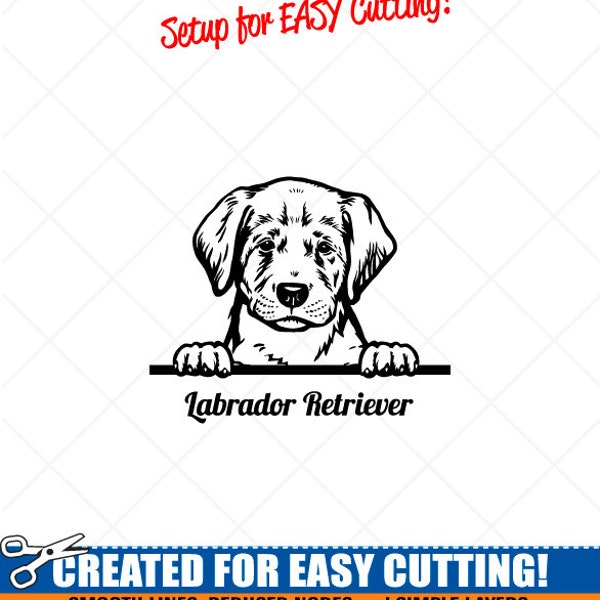 Peeking Lab Svg - Etsy