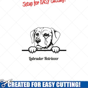 Peeking LABRADOR RETRIEVER Dog Clipart-vector Clip Art Graphics ...
