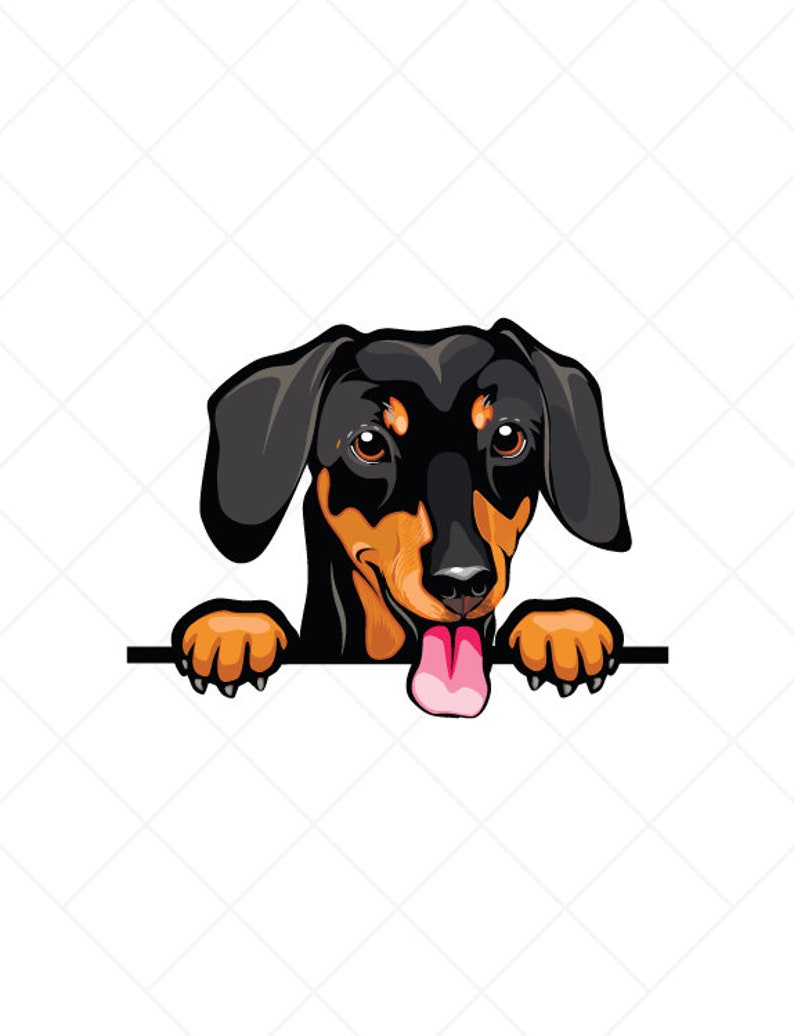 Dachshund Peeking Clipart Svg Eps Png Jpg-wiener Dog Vector Clip Art ...