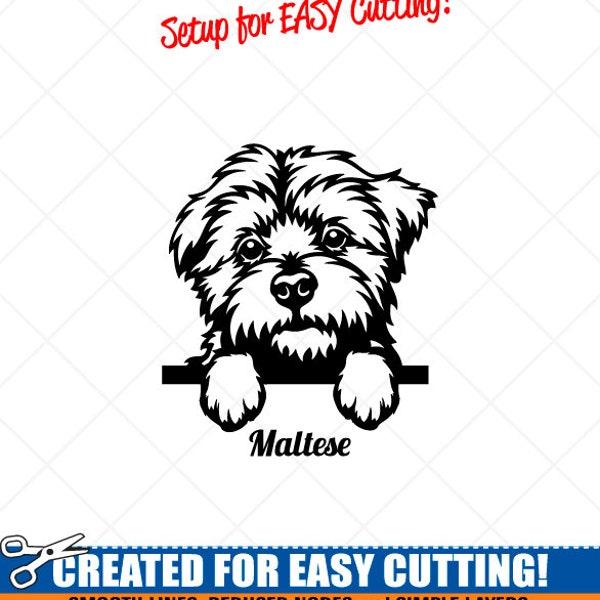 Maltese - Etsy