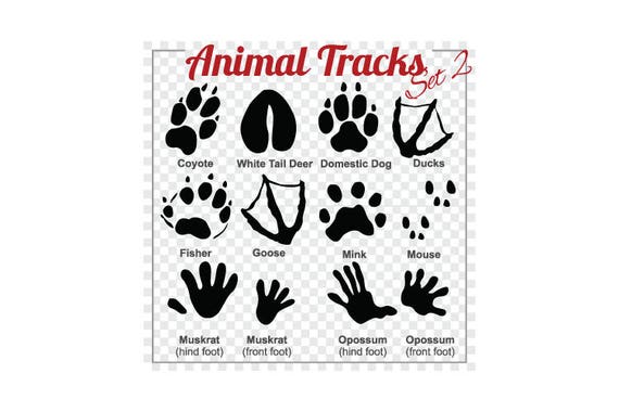 Animal Tracks Clipart