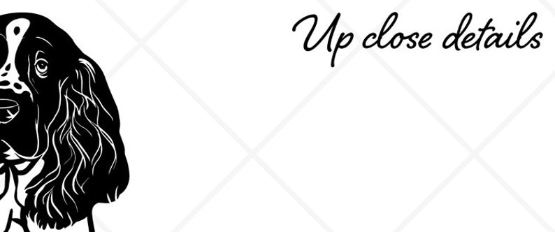 SPRINGER SPANIEL Dog Clipart-vector Clip Art Graphics Download - Etsy