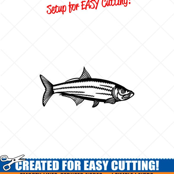 Tarpon Vector Art - Etsy