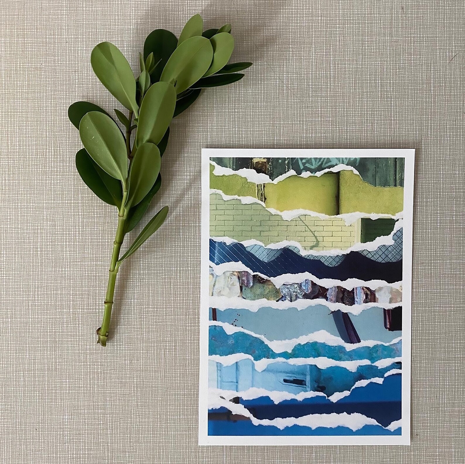 Let Her Rip 5" X 7" Torn Photography Collage Fine Art Print - Etsy