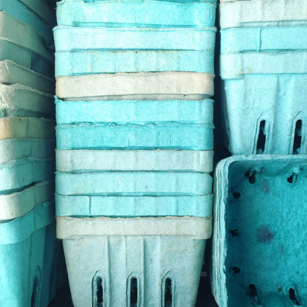 Blueberry Punnets 12" X 12" Fine Art Photo Print - Etsy