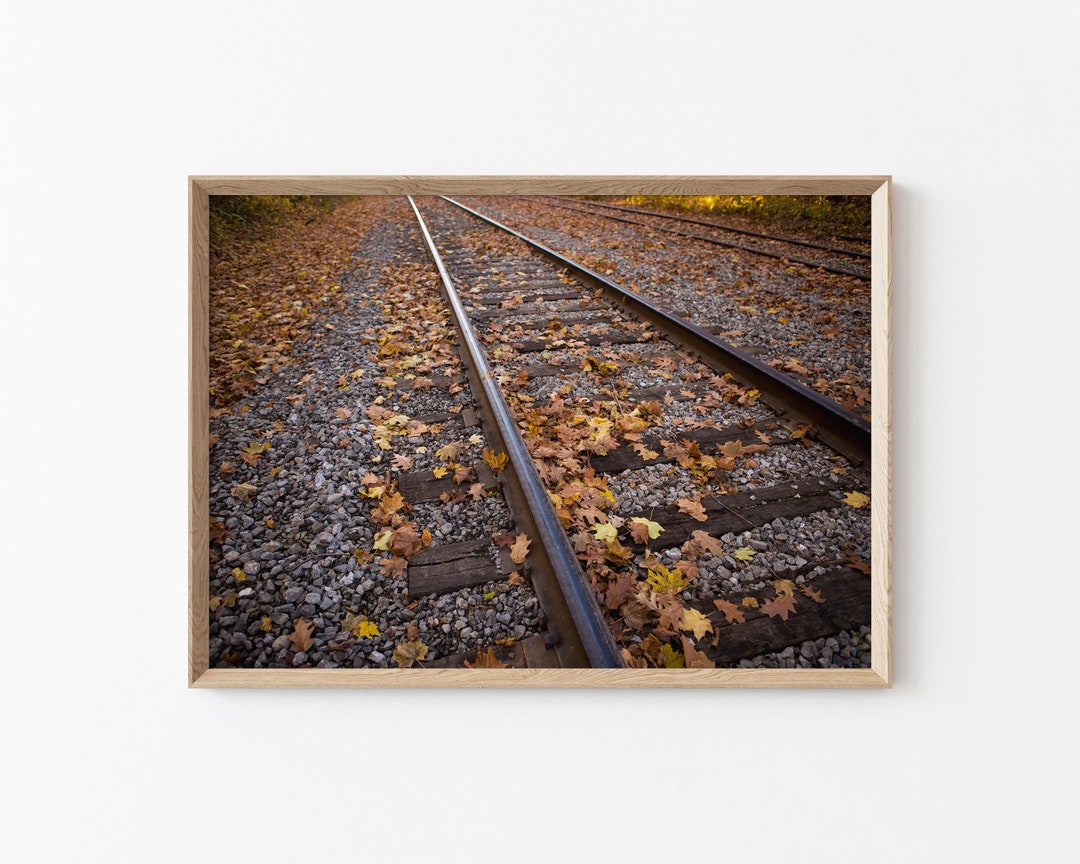 Autumn Train Tracks With Golden Leaves Fall Photography Print - Etsy