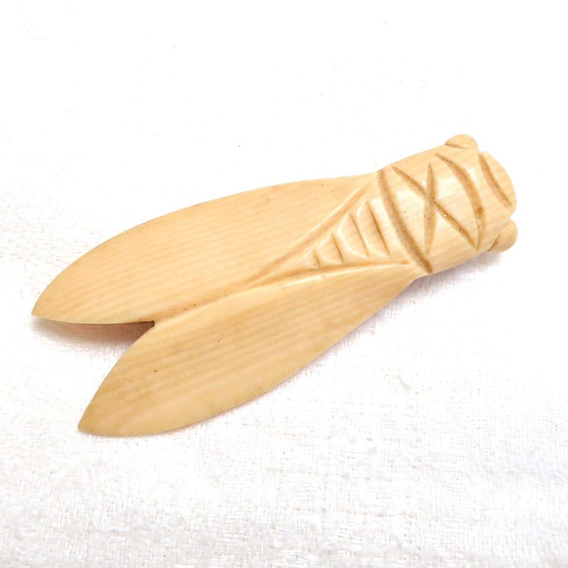 Cicada Bug Pinning Art - Etsy UK