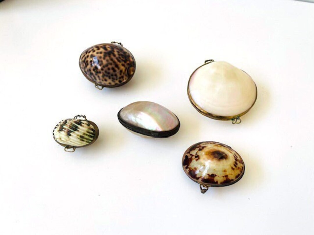 Set of 5 Vintage Shell Boxes Cabinet of Curiosity Collection Seashell ...