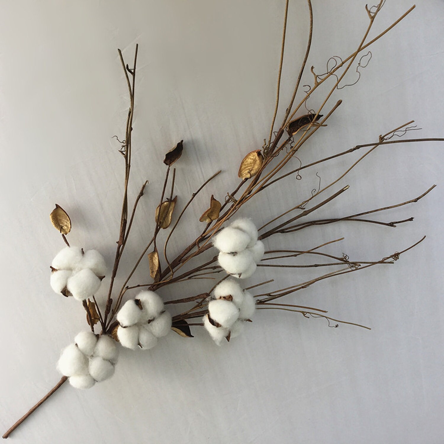 Dried Cotton Branch 5 Cotton Balls ，cotton Branch Branch，centerpiece ...