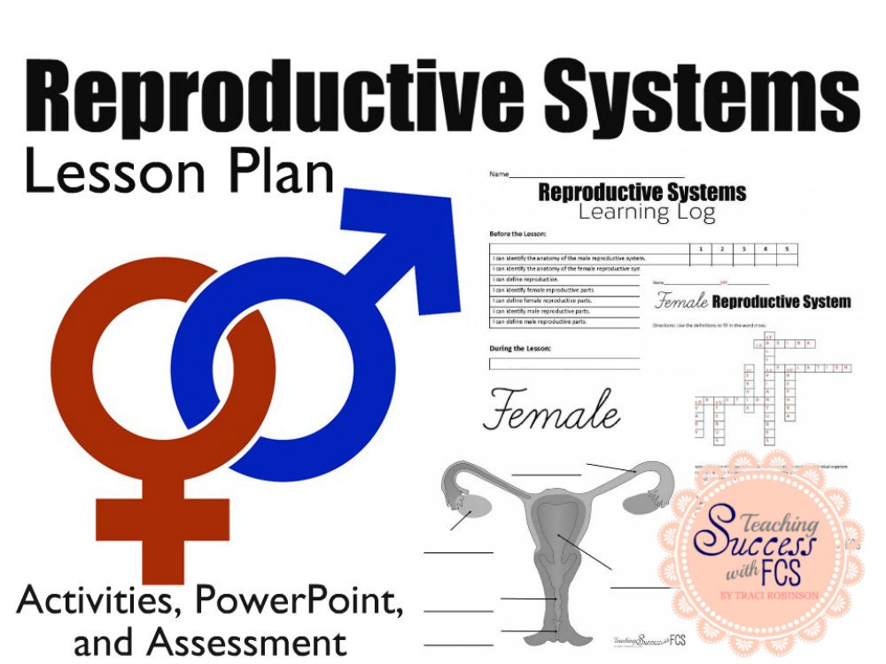 Reproductive Systems Lesson Plan | Etsy