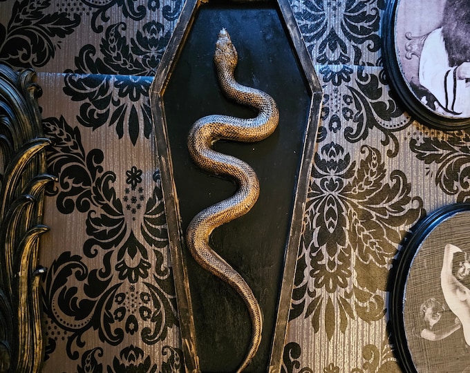 Black and Gold Coffin and Snake, Gothic Wall Decor, Dark Cottagecore ...