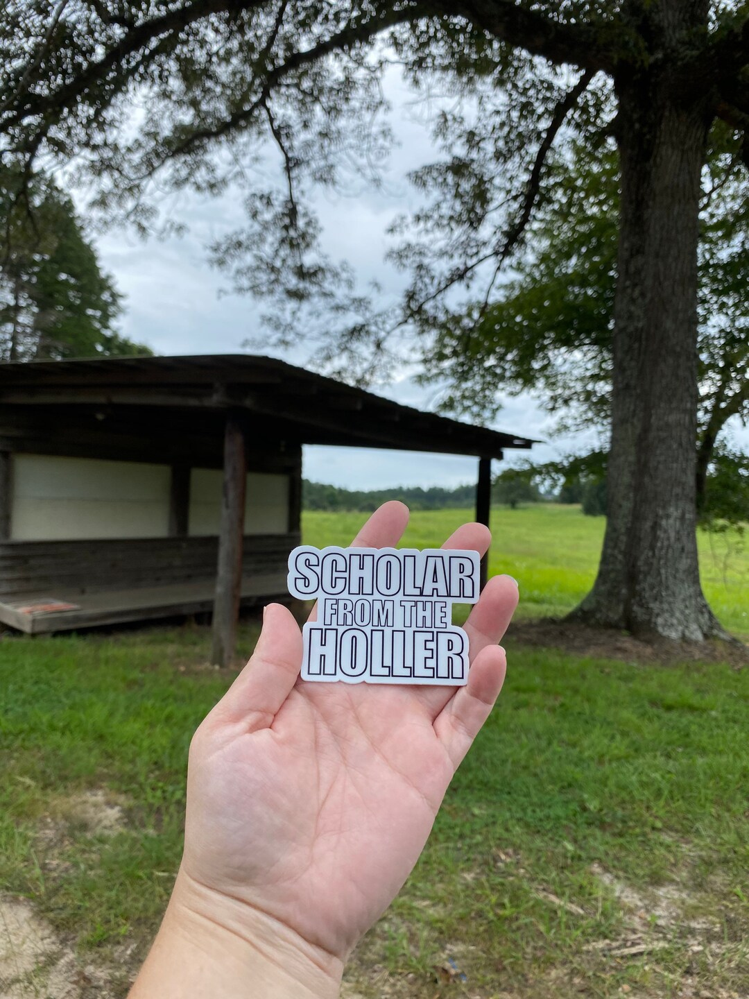 Scholar From the Holler Sticker, Mountains, Hollers, Gift for Academia ...