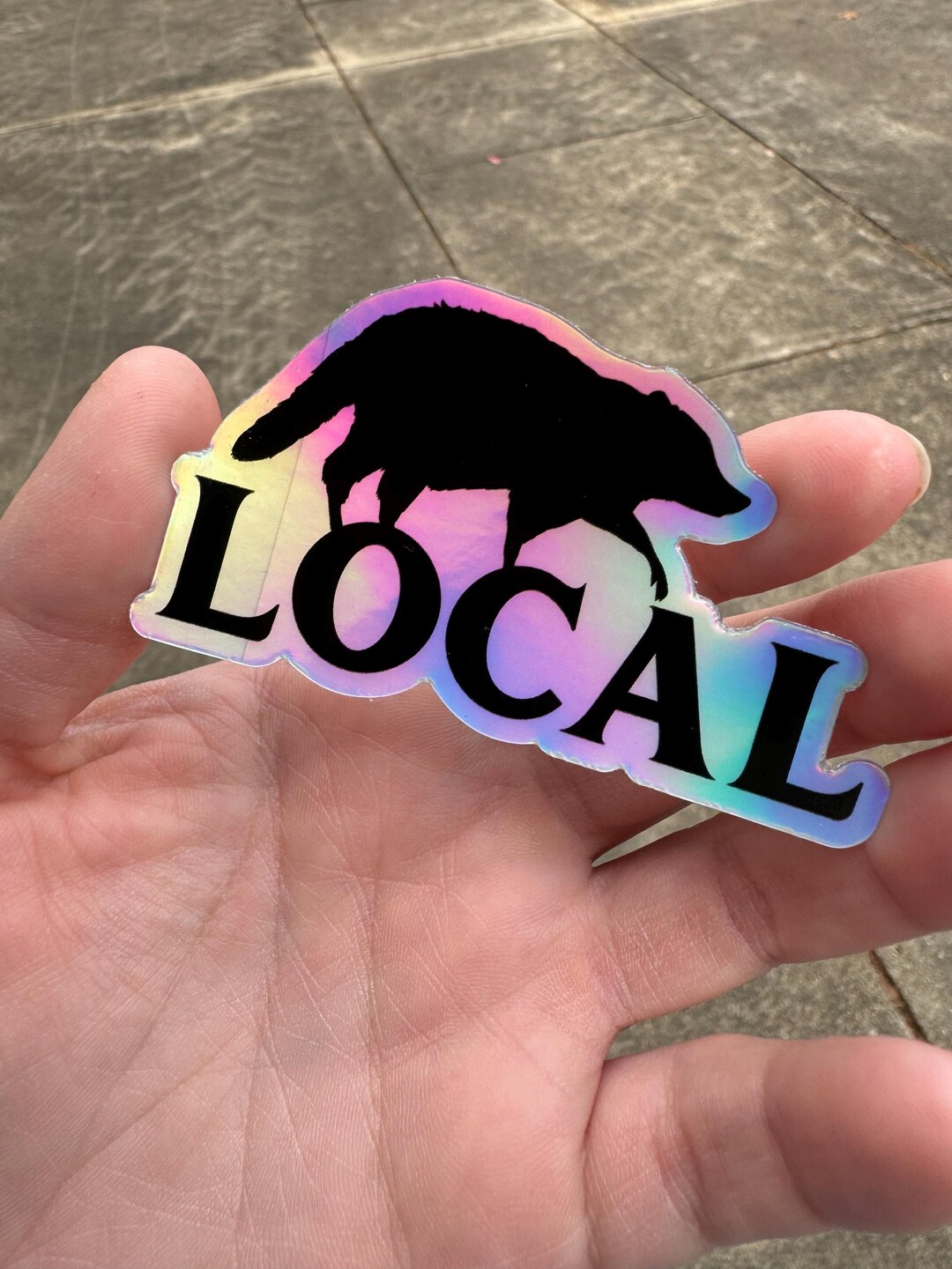 Local Raccoon Holographic Sticker: Raccoon Sticker, Local Sticker ...